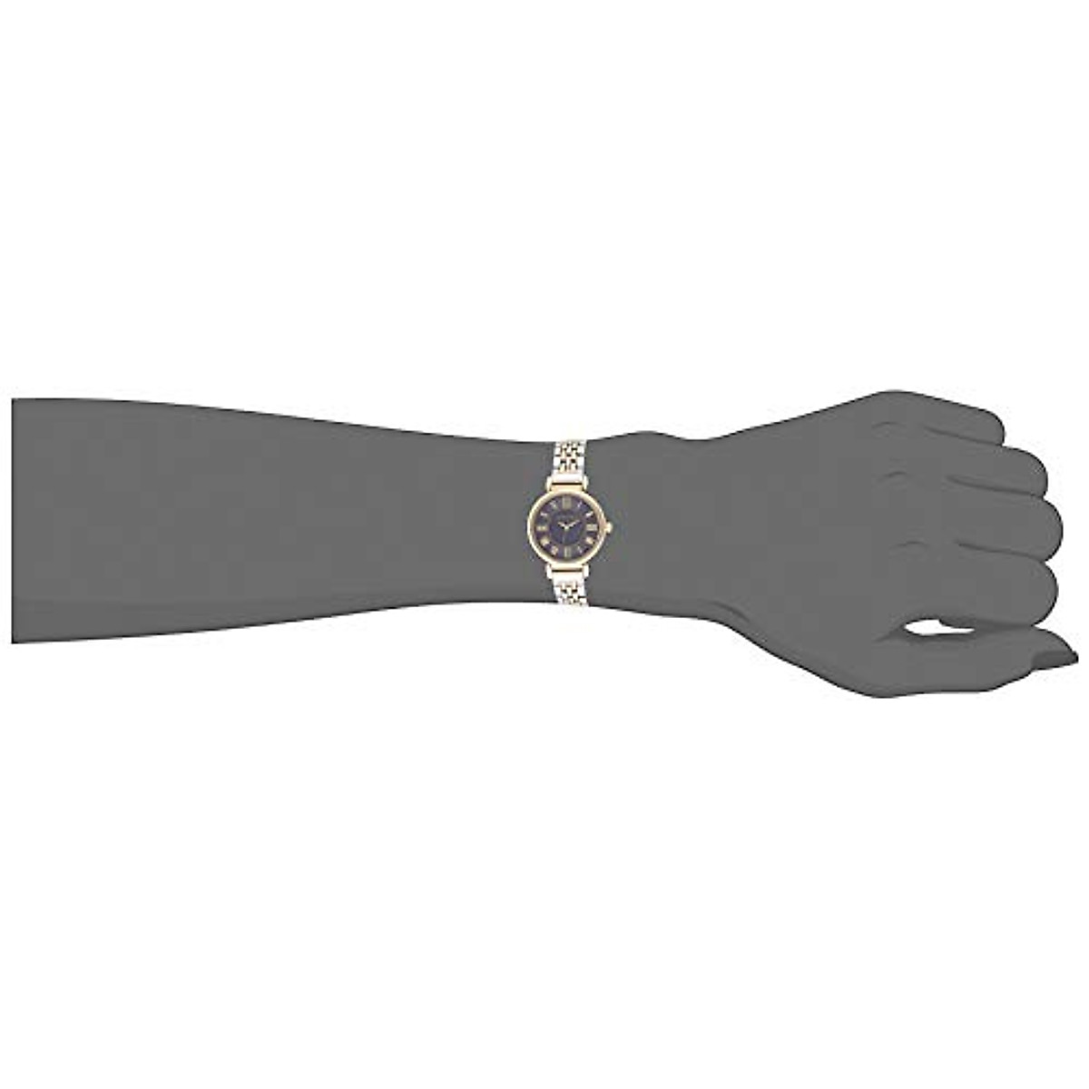 Anne Klein Women's AK/2159NVTT Two-Tone Bracelet Watch