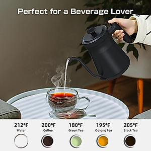 Potlimepan Electric Kettle, 0.8L Temperature Control Electric Kettle with LED Screen, 1200W Quick Heating Gooseneck Pour Kettle with Stainless Steel Interior, Smart Kettle for Coffee & Tea, Black