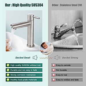 Heyalan Cold Water Only Bathroom Sink Faucet Stainless Steel SUS304 Brushed Nickel Single Handle One Hole Deck Mount Lavatory Faucet (Drain Not Included)