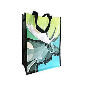 Foremost Reusable Bag Standard Size Artist Series 4 Pack, Multicolor, (74014)