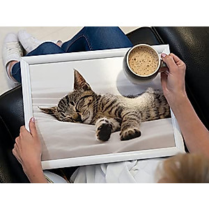 Creative Tops 'Kitten' Cushioned Bean Bag Lap Tray, 44 x 34 cm (17.5" x 13.5") - Multi-Colour