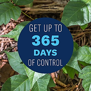 BioAdvanced 800600B Extended Control Brush Ivy Killer, Also Kills Poison Oak, BlackBerry, Kudzu and More, Concentrate, 32 oz