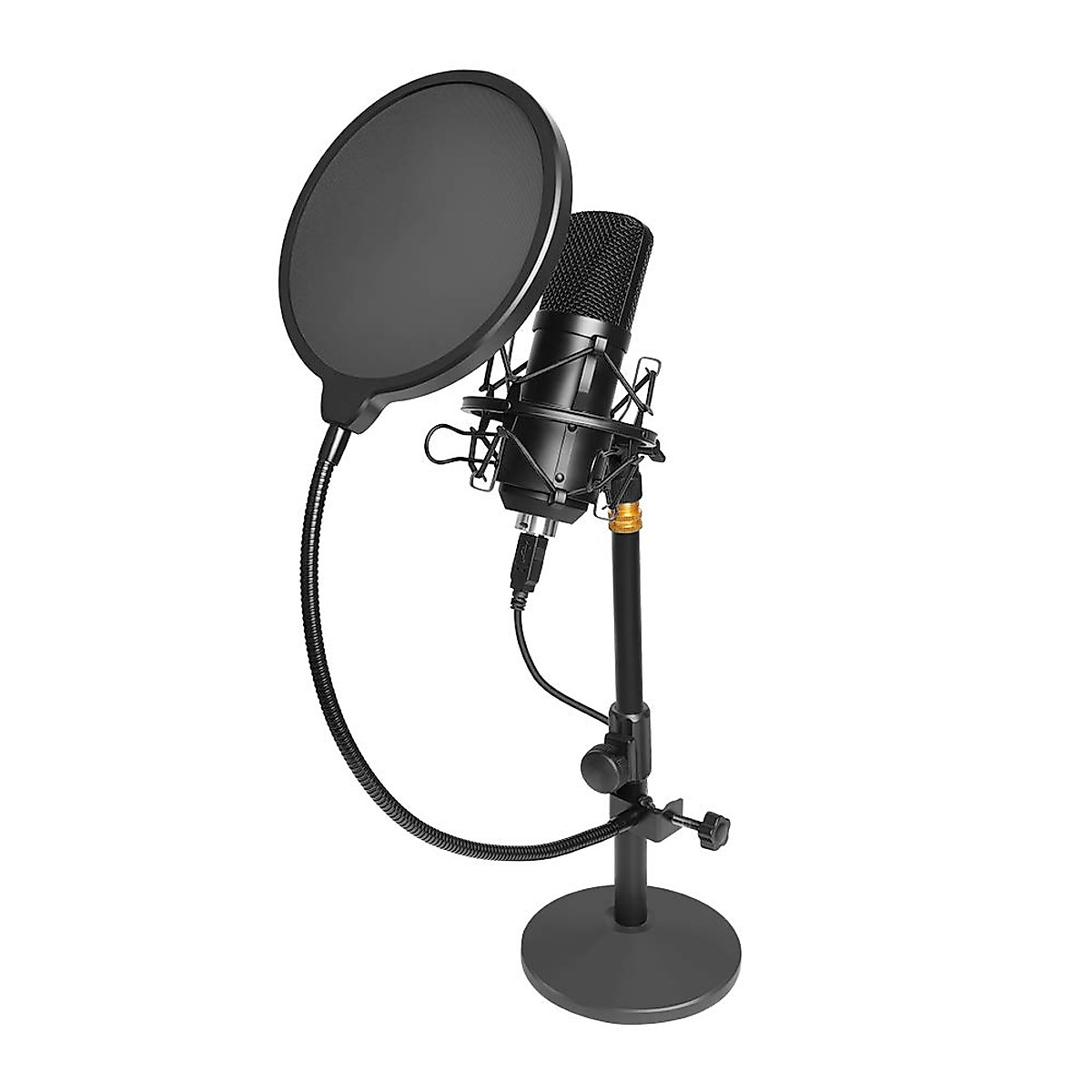 Blue Blackout Spark SL XLR Condenser Microphone with Pop Filter & 20' XLR Cable