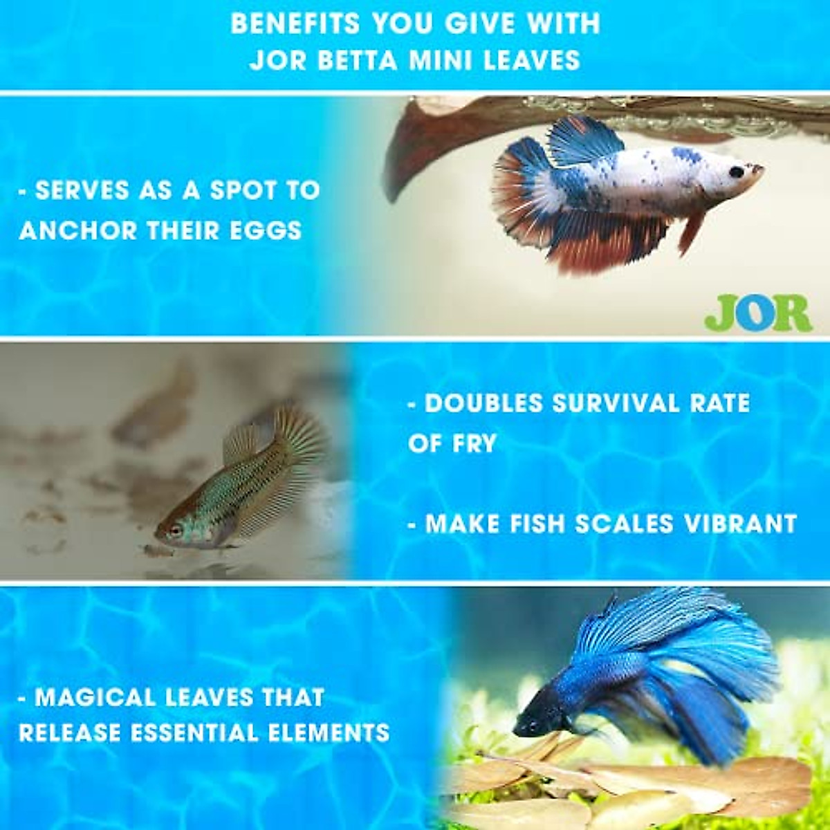 JOR Catappa Indian Almond Leaves, Fin Rot Treatment Betta Fish Water Conditioner Aquarium Leaves, Create Realistic River Habitat, Reduce Stress, Loved by Shrimp & Tropical Fish