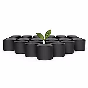 AC Infinity Clone Collar 3-Inch, Cloner Inserts with 8-Spoke Design, 50-Pack for Use with Net Cups in Hydroponics Growing Systems, Aeroponics, Cloning Machines, and Home Gardening