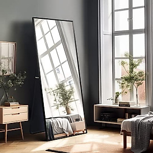 NeuType Full Length Mirror Dressing Mirror 64"x21" Large Rectangle Bedroom Floor Standing Mirror Wall-Mounted Mirror Standing Hanging or Leaning Against Wall Aluminum Alloy Thin Frame (Black)