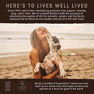 Earth Animal Wisdom Air-Dried Jerky from The Land Recipe | Dog Treats | Dog Snacks | Premium Natural Red Meat Jerky Strips | 4 oz | Made in The USA (Pack of 1)