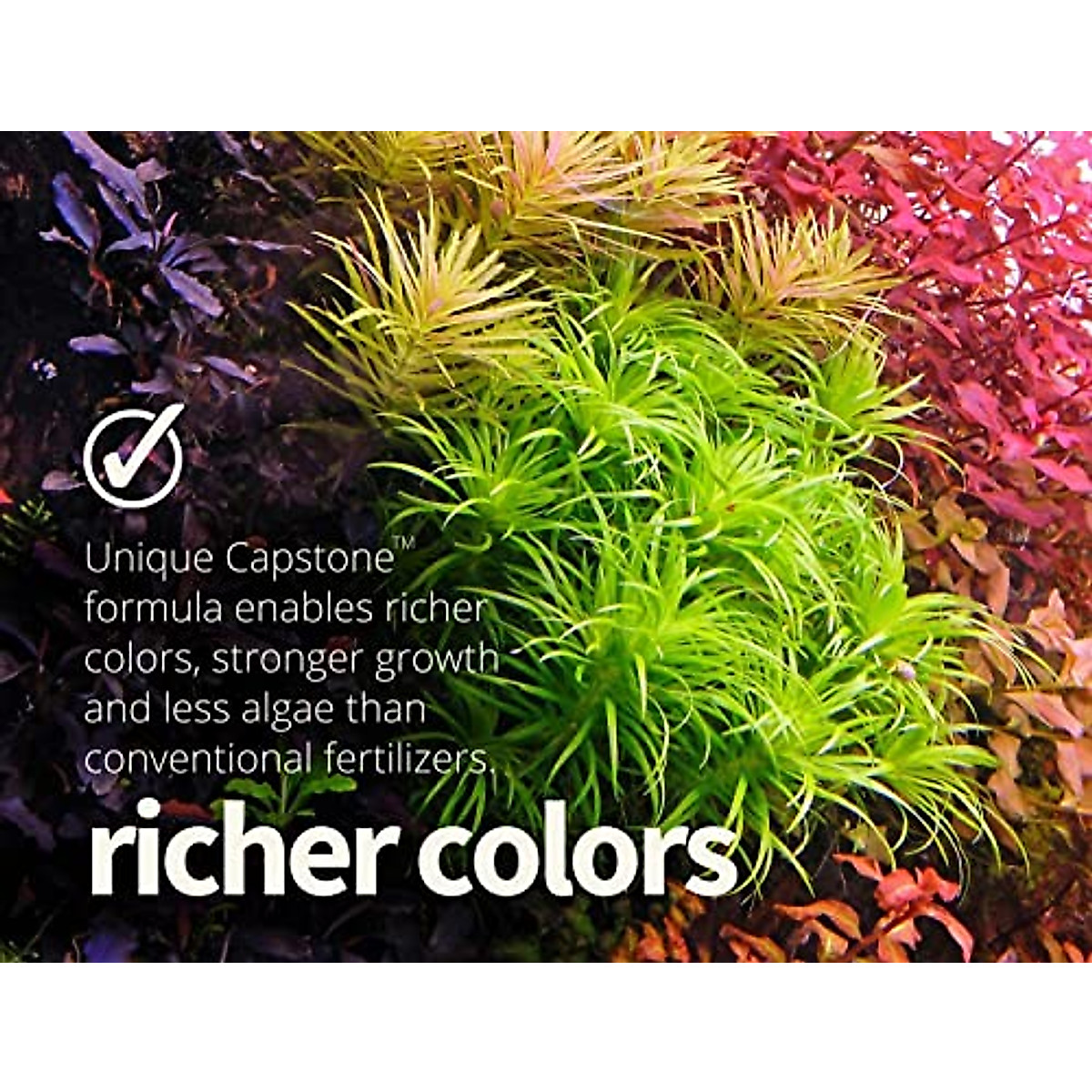 2HR Aquarist All-in-one Aquarium Plant Fertilizer APT E Estimative Index (300ml)