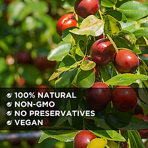 NESTLADY Natural grown dry JUJUBE date, DATES, Hong Zao Herbal Healthy Foods, 紅棗 200g / 7.05oz…