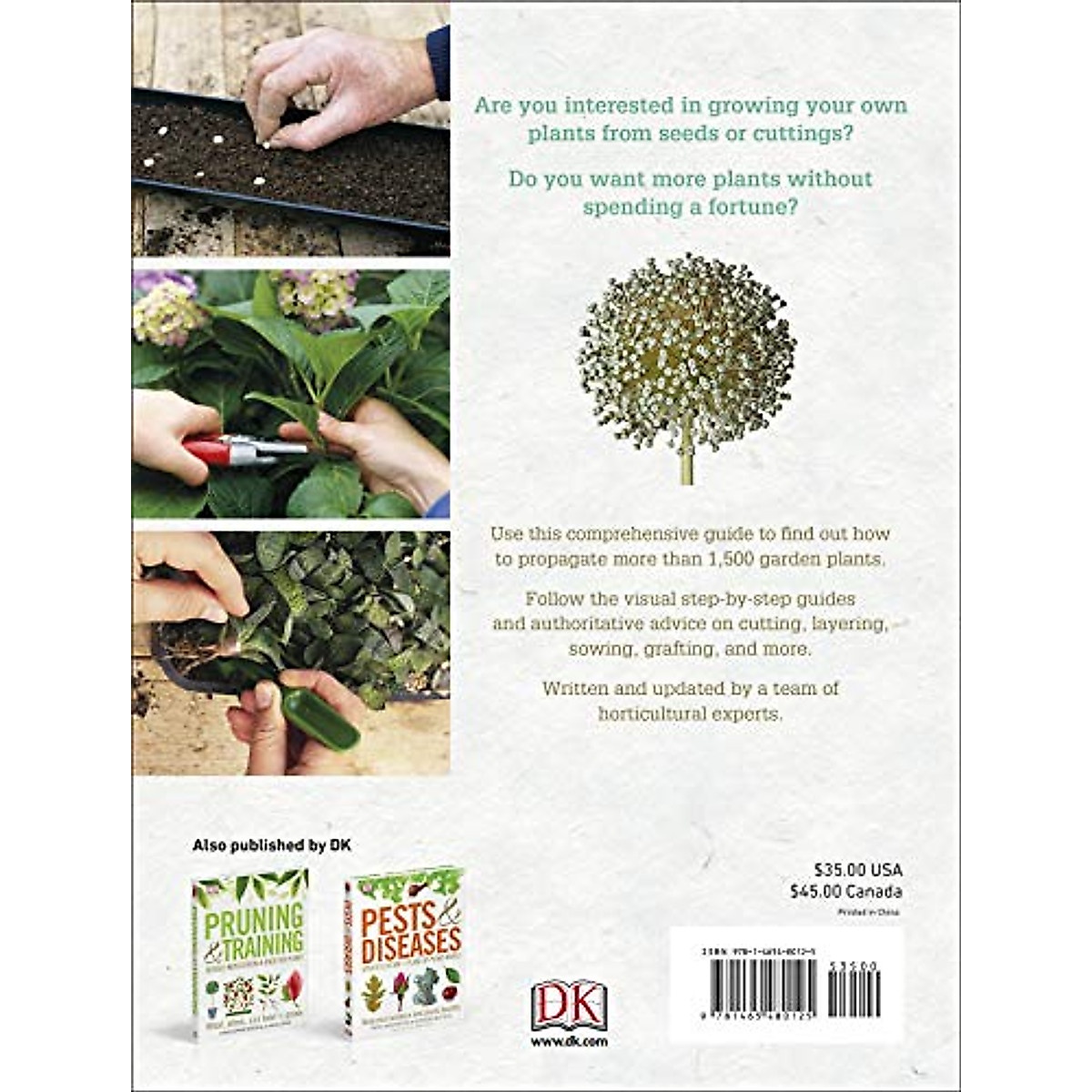 Propagating Plants: How to Create New Plants for Free