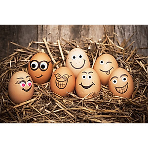 750pcs Wiggle Eyes Self-Adhesive Googly Eyes, 4mm~18mm