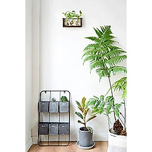 Mkono Plant Terrarium with Wooden Stand, Wall Hanging Glass Planter Tabletop Propagation Bulb Vase Metal Swivel Holder Retro Rack with 3 Bud Bottle for Hydroponics Plants Home Office Decor