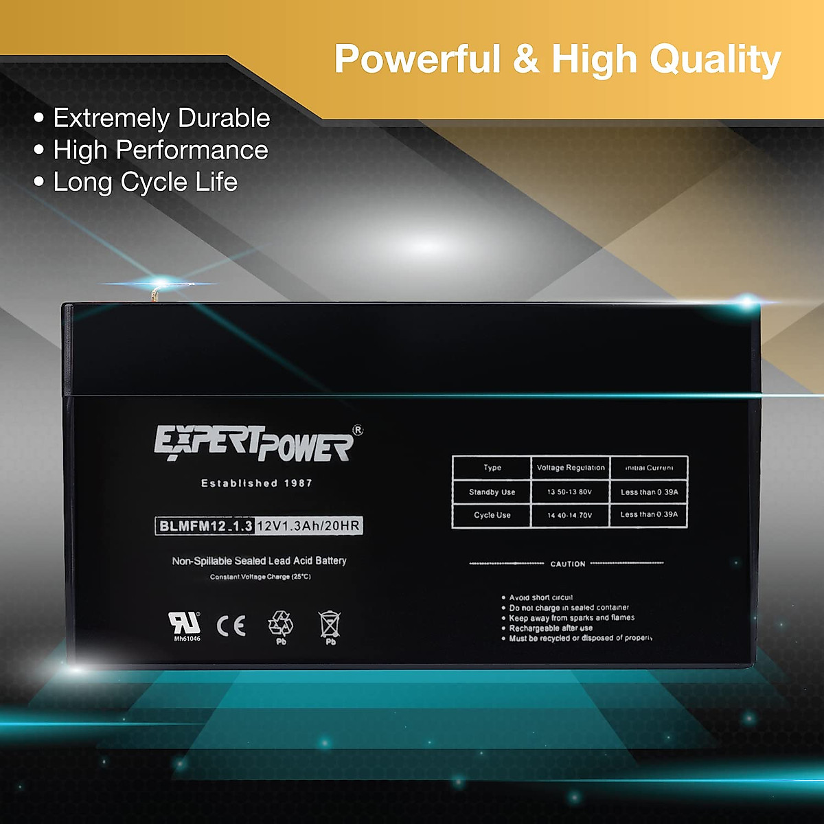 ExpertPower 12v 1.3Ah SLA Rechargeable Battery with F1 Terminals || EXP1213 (Not a Replacement for WP3_12)