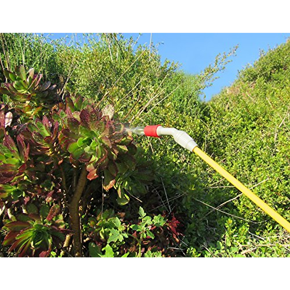 TABOR TOOLS 2.0 Gallon Lawn and Garden Pump Pressure with Pressure Relief Valve, Adjustable Shoulder Strap, and Adjustable Wand Nozzle (2.0 Gallon, Yellow Wand). N80A.