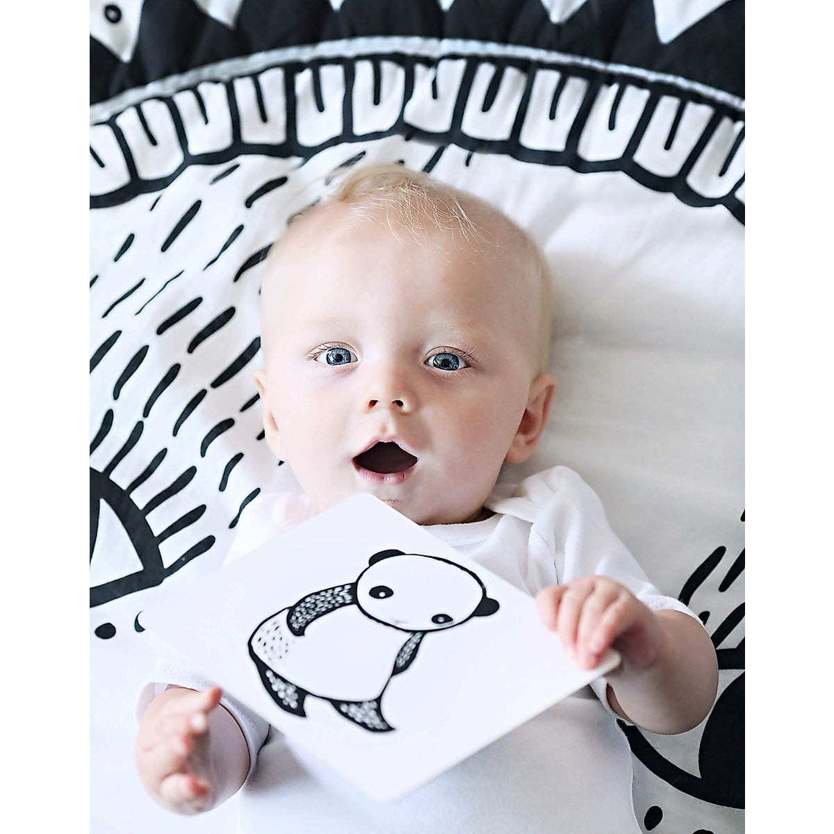 Wee Gallery Black and White Art Flash Cards for Babies, High Contrast Educational Animal Picture Cards, Baby Visual Stimulation, Brain and Memory Development in Infants and Toddlers - B&W Animals
