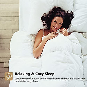 DWR Lightweight Feather Down Comforter Queen, 100% Cotton Cover, Summer Warm Weather Bed Quilt, Thin All-Season Duvet Insert for Hot Sleepers (Ivory White, 90x90)