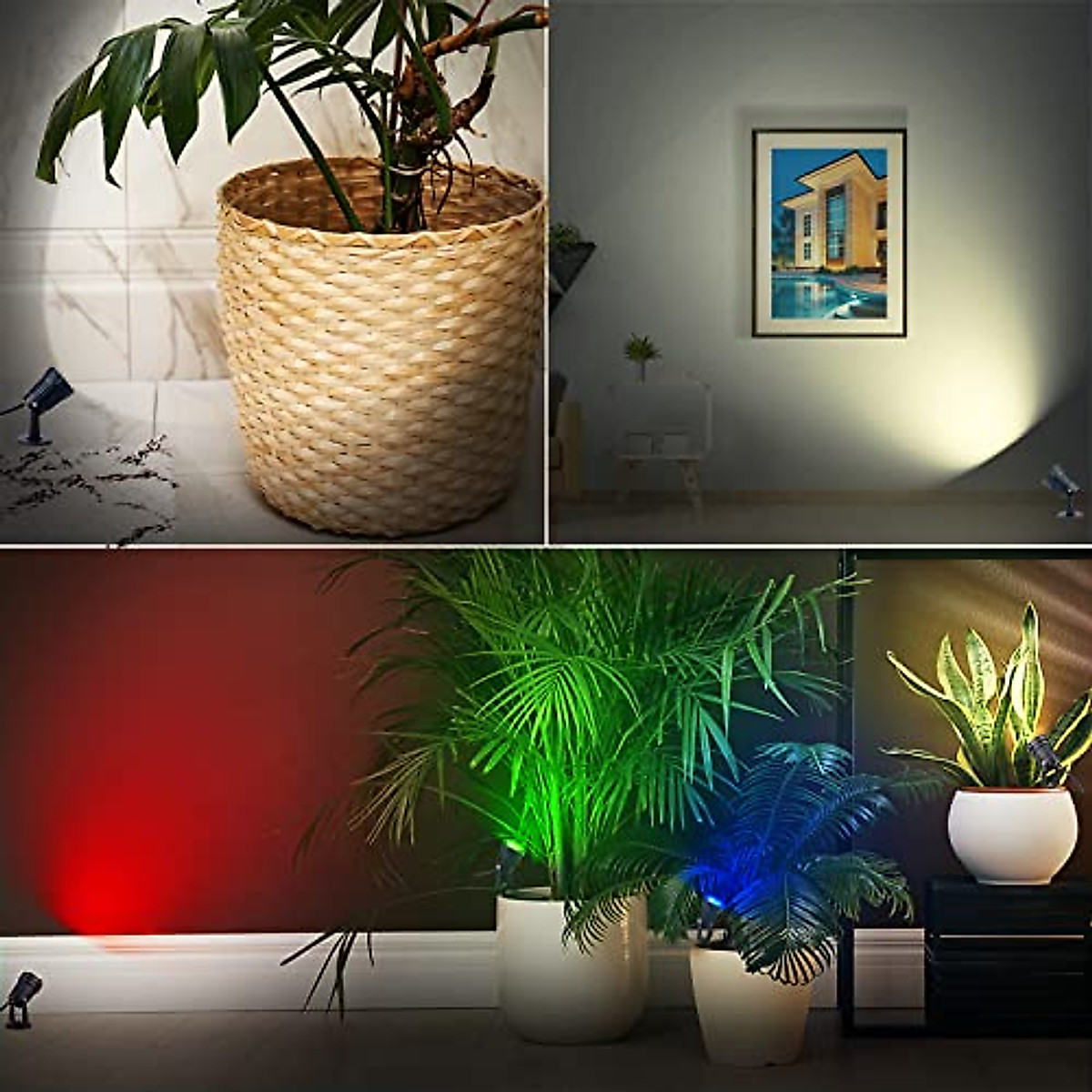 RAIFOOLLY Landscape Lights, Remote Control Spotlight with 16 Colors,Waterproof LED Ground Lighting with Spike and Base for Garden Pathway Patio Yard Plants（Plug-in）
