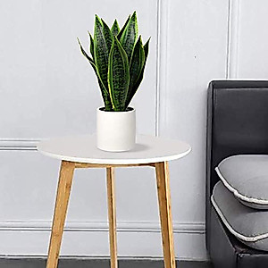 Briful Fake Snake Plant 16" Faux Potted Plant Artificial Snake Plant with White Ceramic Pot Sansevieria Plant Perfect for House Modern Living Room Office Housewarming Gift Indoor Decor
