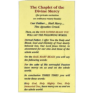 Amazing Saints The Chaplet of the Divine Mercy Laminated Holy Card Set of 5