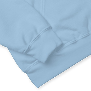 JG Infinite GTR R34 GT-R Skyline JDM Vaporwave Aesthetic Vapor Dreams Chillwave Unisex Hoodie Light Blue