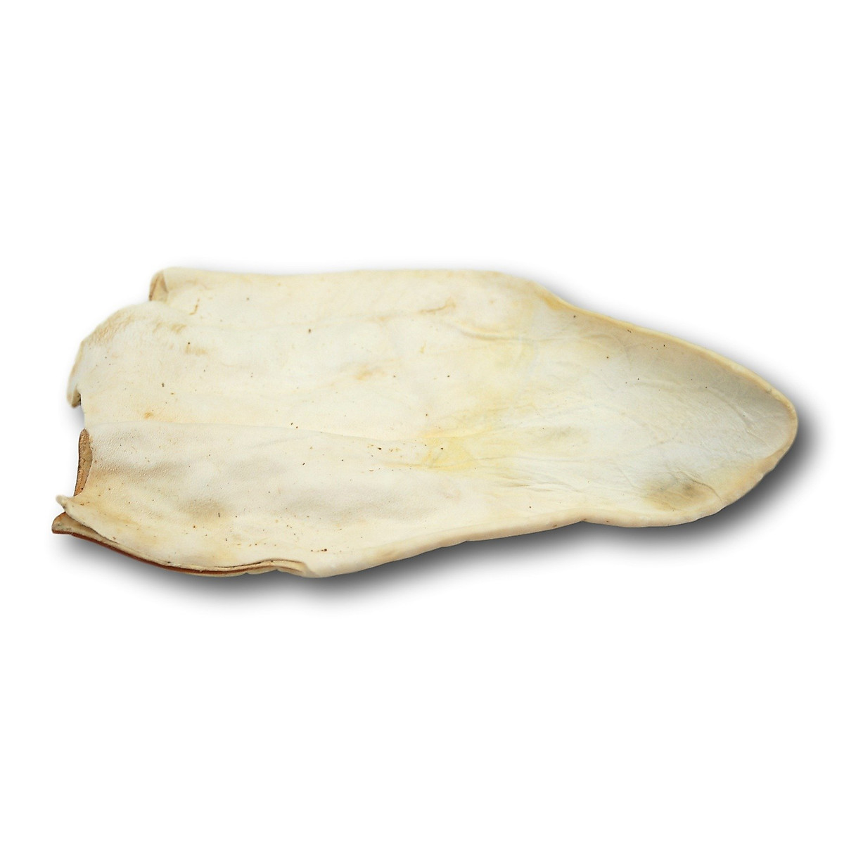 Top Dog Chews - Cow Ears Dog Treats, 6" - 7", 10 Pack, America's Made, All Natural, Rich in Protein and Flavor, Healthy & Delicious Treats for Dogs, Breeds