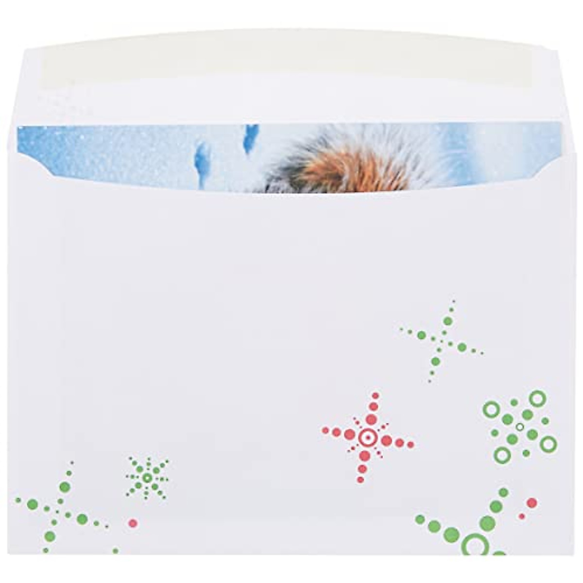 Avanti 10-Count Christmas Cards, Little Squirrel with a Candle