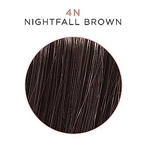 Clairol Professional TRUE COLOR Permanent Cream Color 4N Nightfall Brown, 2 Ounce (Pack of 1)