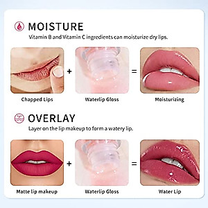 Rosarden Shimmer Hydrating Lip Gloss - Moisturizing Glossy Lip Gloss - Lip Plumping Gloss - Plumping Lip Oil- Non Sticky Lip Gloss - Waterproof & Long Lasting Lip Gloss - Pink Lip Gloss for Women