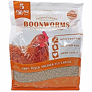 Pecking Order Boonworms 100% Black Soldier Fly Larvae