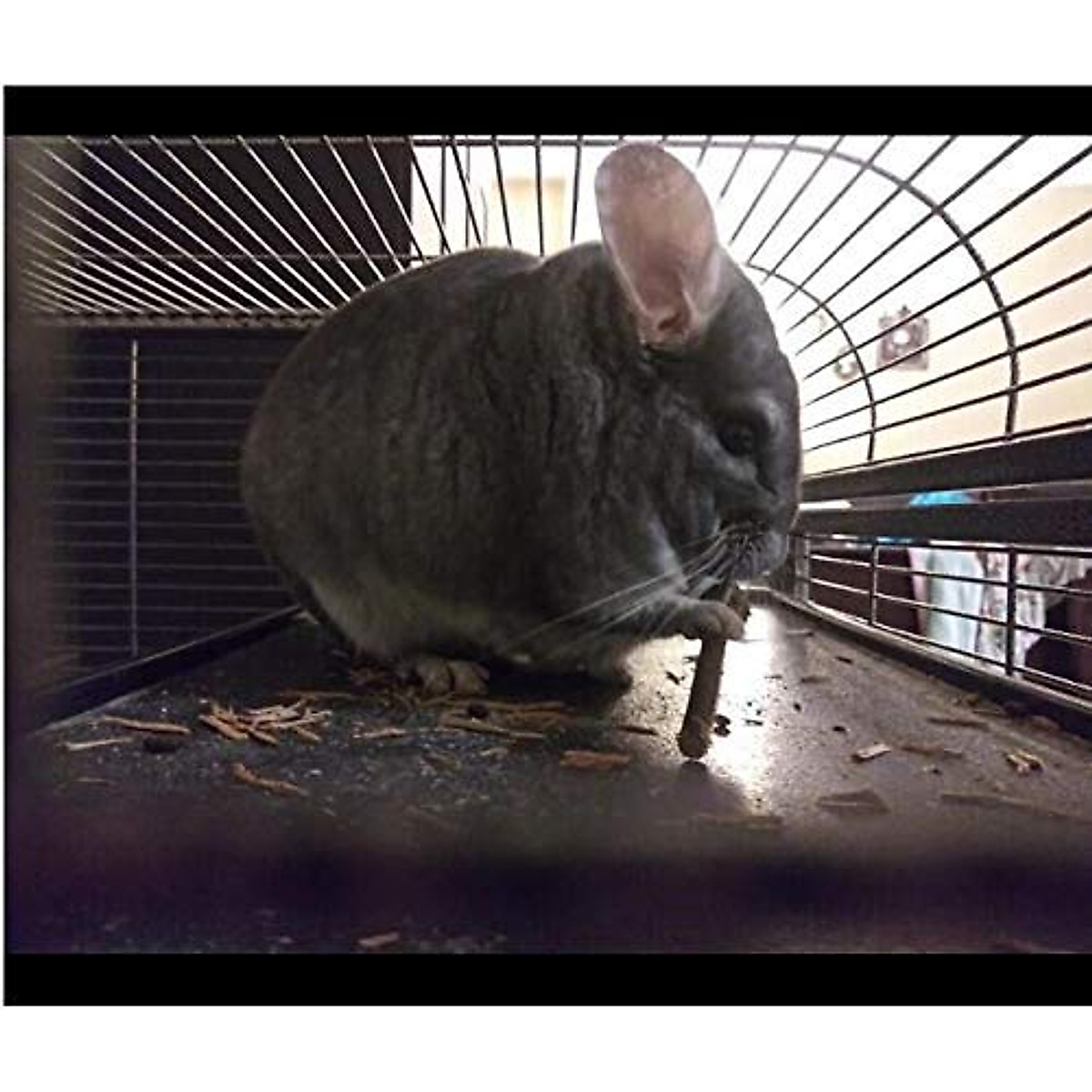 Bojafa 250g Apple Sticks Small Animals Molar Wood Treats Toys for Rabbits Chinchillas Guinea Pig Hamster Gerbil Parrot Bunny and Small Animals Chew Stick Toys Treats (250g, About 50 Pcs)