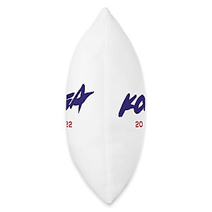 Block Voice South Korea 2022 Football Soccer Taegeuk Warriors Flag Throw Pillow, 16x16, Multicolor