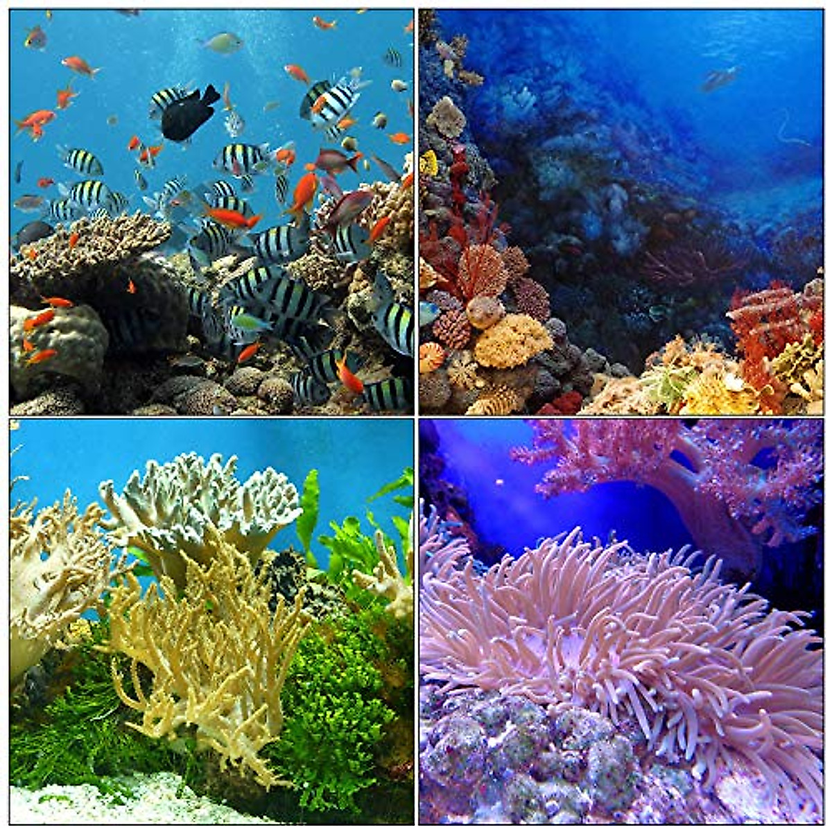 Boao 2 Pieces Long Pipette for Fish Tank Coral Food Feeder Long Syringe Reef Coral Food Spot Feeder Tube for Reef Aquatic Plant Spider Snake Lizard