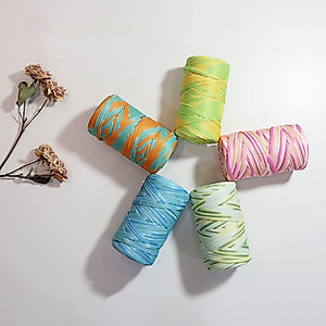 T-Shirt Yarn 160 Yards Knitting Yarn Fabric Crochet Cloth Colorful Tshirt Yarn for Crocheting Beginners DIY Hand Craft Bag Blanket Cushion Projects