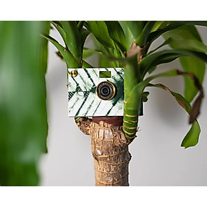 Paper Shoot Camera | Case Only - (Multiple Designs) Zen Matsuba