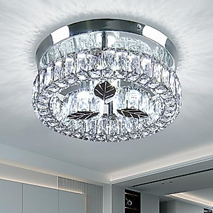 Finktonglan 11.6” Crystal LED Ceiling Light Flush Mount, Modern 30W Round Ceiling Lamp K9 Crystal Light Fixtures, Stainless Steel Leaf Crystal Chandelier for Dining Room Living Room (Cool White)