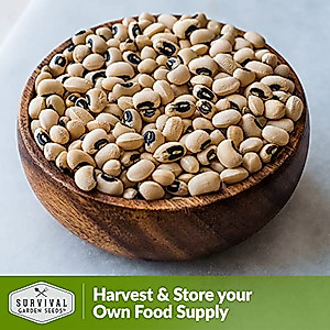Survival Garden Seeds - Blackeyed Pea Seed for Planting - Packet with Instructions to Plant and Grow Black Eyed Cowpeas in Your Home Vegetable Garden - Non-GMO Heirloom Variety