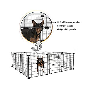 allisandro Guinea Pig Cages Small Animal Playpen, Small Animal Cage for Indoor Outdoor Use, Portable Metal Wire Yard Fence for Guinea Pigs, Bunny, Turtle, Hamster, 12 Panels (14x14)