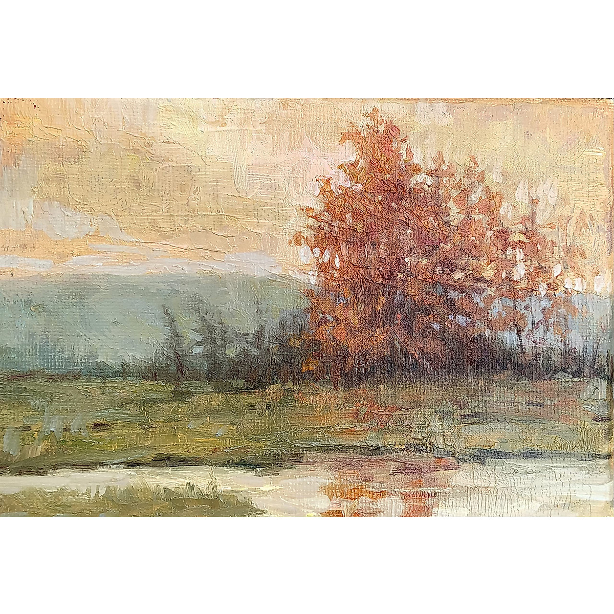 RoseArt Premium Oil Paint - Set 12 Colors, Maximum Strength Pigmented Oil Paints for Professionals, Students,