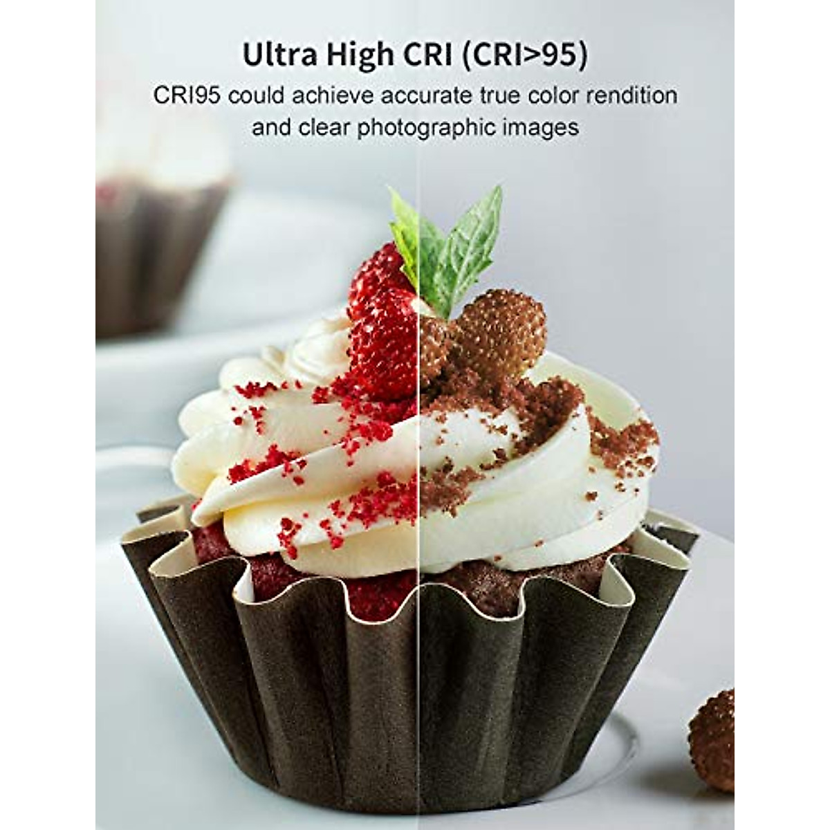 RALENO 2 Packs LED Video Light and 75inches Stand Lighting Kit, CRI 95+ Photography Lighting with 8000mAh Built-in Battery & LCD Display, Studio Lights for TikTok, YouTube, Live Streaming, Videography