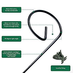 Lunhans 12 Pack Plant Support Stakes with 24 Pcs Plant Clips,Single Stem Support Stake Plant Cage Support Ring for Garden Flowers Rose Tomatoes Peony Lily Rose Herbs Vegetable (15.7 inch)