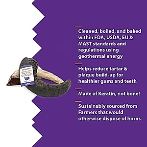 Icelandic+ Plus Large Lamb Horn Dog Chew