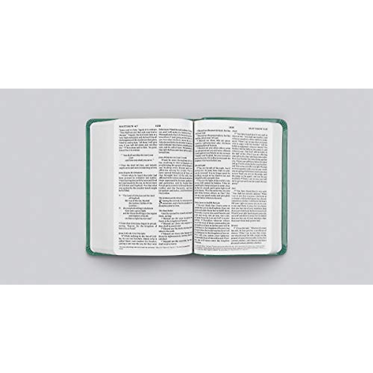 ESV Value Large Print Compact Bible (TruTone, Teal, Ornament Design Size: 8.0)