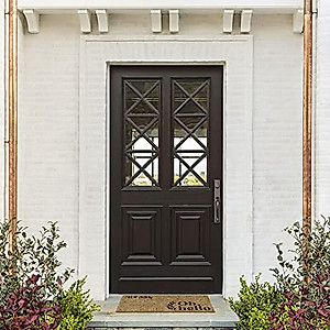 Barnyard Designs 'Oh Hello, See Ya' Doormat Welcome Mat for Outdoors, Large Front Door Entrance Mat, 30x17, Brown