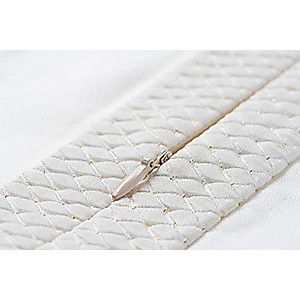 R. Culturi Scarf Organizer for Closet or Travel Accessory/Holder and Hanger Storage Organizer for Silk/Cotton/Light Cashmere or Wool Scarves