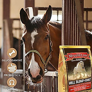 The Missing Link Equine Well Blend + Joint Superfood Supplement Powder, 10.6 lb. Bag / 120 Day Supply