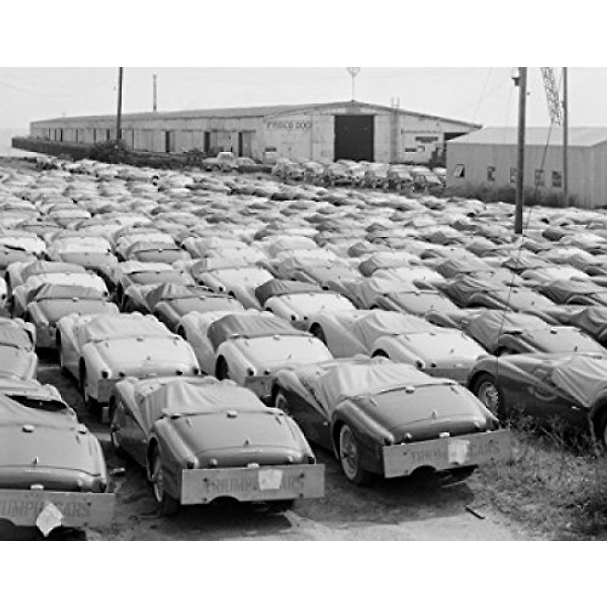 Posterazzi USA California San Francisco Triumph cars from England at Frisco Dock Poster Print, (24 x 36)
