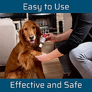 Wondercide - Skin Tonic Oil for Hot Spot, Itch, and Rash Relief with Natural Essential Oils - First Aid Remedy for Dogs - 4 oz