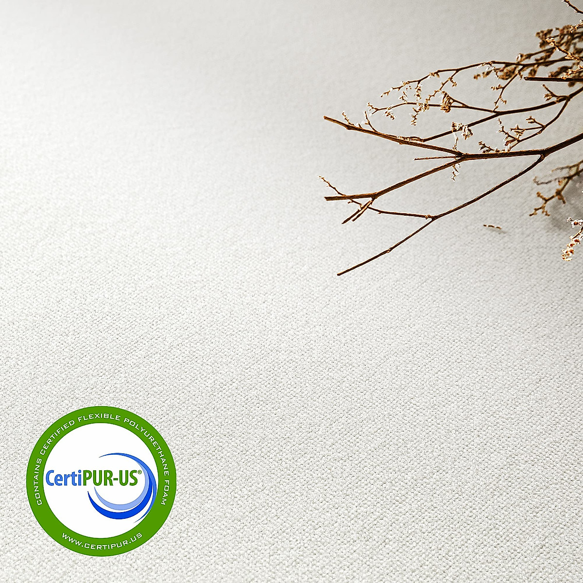 Best Price Mattress Queen Mattress 6 inch Bed-In-A-Box, Green Tea Memory Foam, Cream