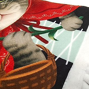 Openhahaha Funny Cat Hand Towels for Bathroom Kitchen,Cat Decor Towel,Hanging Decorative Washcloths Face Towels,Super Absorbent Soft,Cat Gifts for Cat Lovers/Women/Cat Mom/Princess Lovers(Red Hat)