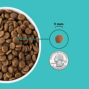 ACANA™ Wholesome Grains Dry Dog Food Puppy Sea & Farm Recipe, 22.5lb